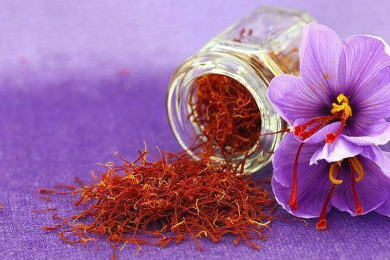 Top 5 Món Quà Tết Sức Khỏe Cho Gia Đình Ý Nghĩa Nhất 2026